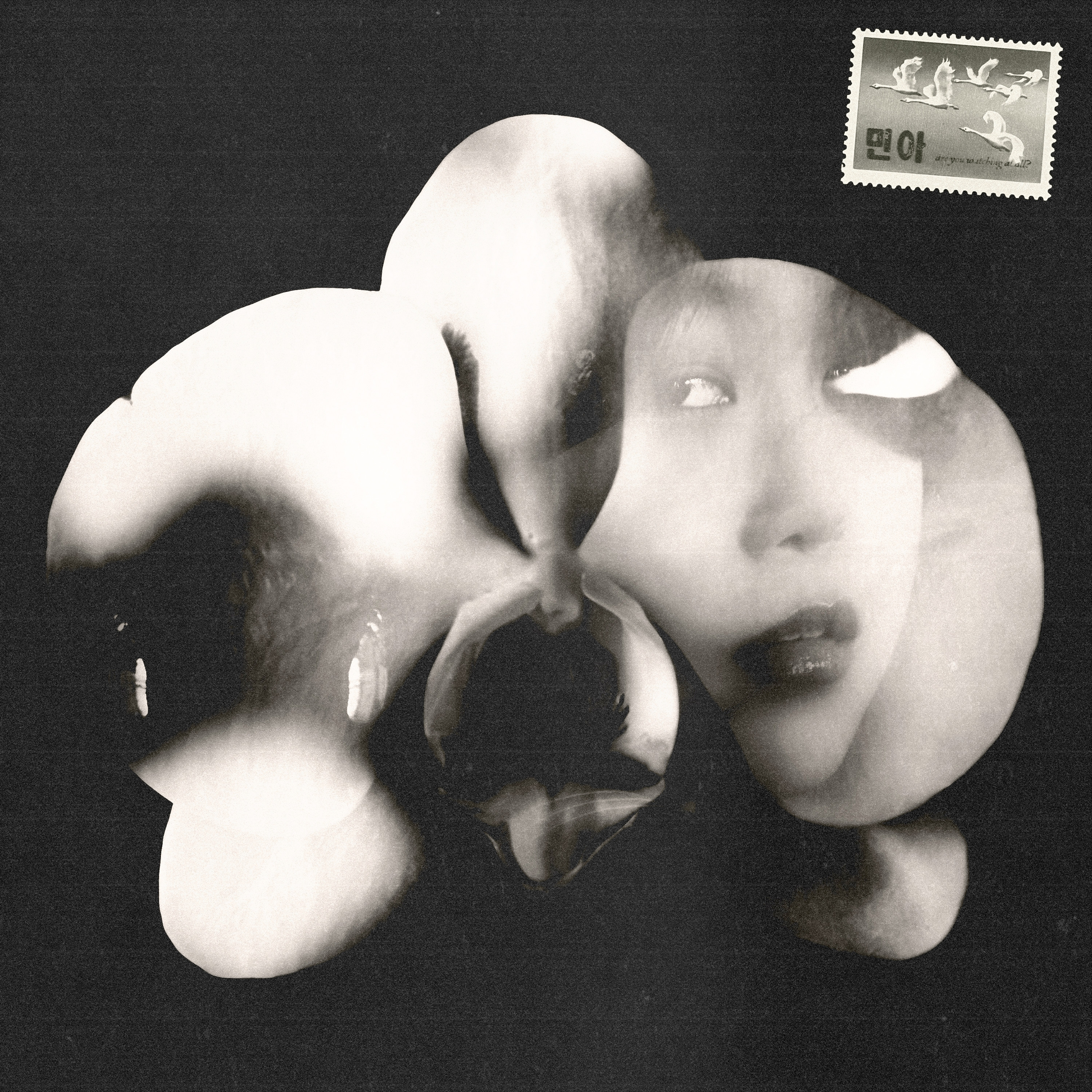 min.a / skipping stones (2024)